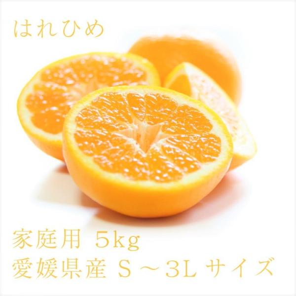 【発売日：2025年12月20日】ほどよい甘さでオレンジ風味！中島産のはれひめ。 その中でも、色・味・形の良いものだけをたくさん詰め込んだおすすめ逸品です。 あなたに出会うのを楽しみに待っていた、はれひめ達をぜひご注文ください。 名称：はれ...