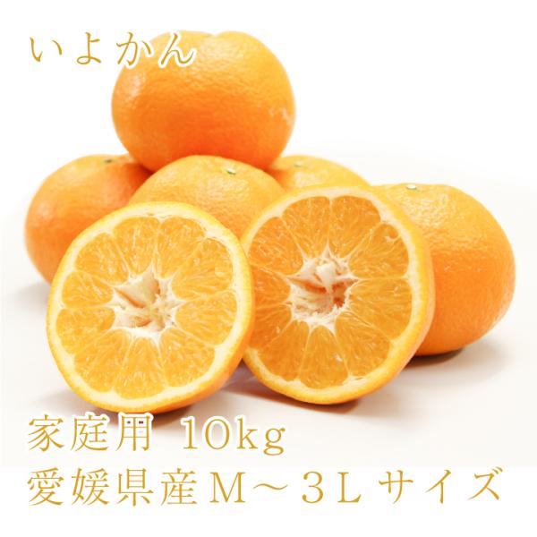 【発売日：2027年02月10日】酸味と甘味のバランスが絶妙な、中島産の伊予柑。 その中でも、色・味・形の良いものだけをたくさん詰め込んだおすすめ逸品です。 あなたに出会うのを楽しみに待っていたいよかん達をぜひご注文ください。 名称：いよか...