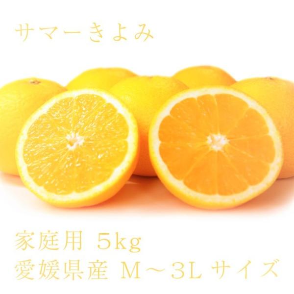 【発売日：2026年03月10日】ギャップ！この甘さにビックリ！！、中島産のサマーきよみ。 その中でも、色・味・形の良いものだけをたくさん詰め込んだおすすめ逸品です。 あなたに出会うのを楽しみに待っていた、サマーきよみ達をぜひご注文ください...