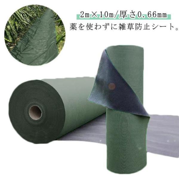 2m×10m厚手(0.66mm)