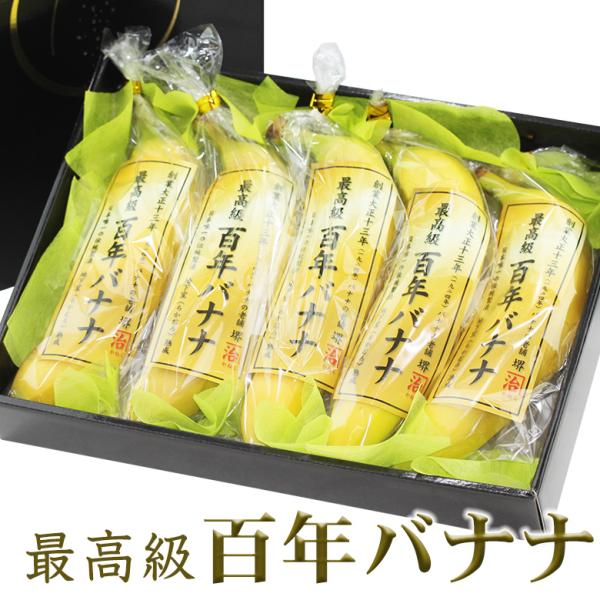 上品な味わい 最高級品 百年バナナ 金 【美容 甘い ギフト 枇杷 ビワ フルーツ 果物 プレゼント お礼 お返し ご挨拶 手土産 お祝 誕生日 お誕生日 婚礼祝い 出産祝 出産内祝 出産 内祝い お返し 快気祝い 快気内祝い お見舞い 快...