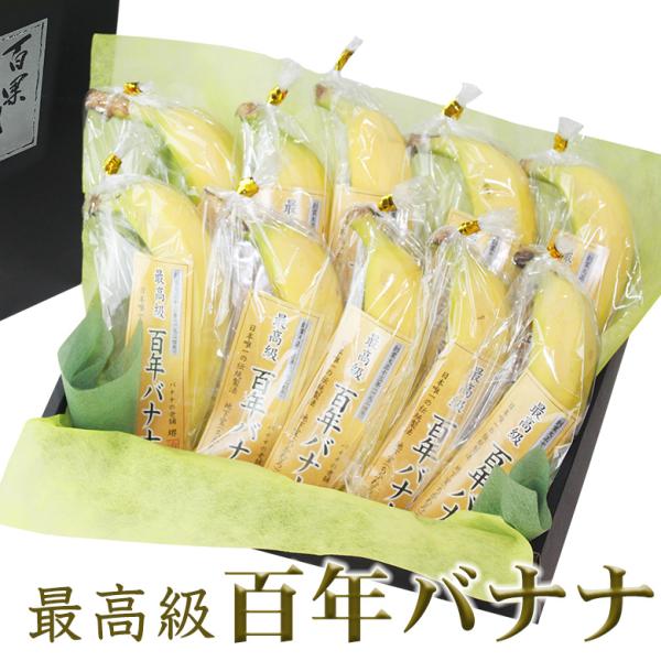 上品な味わい 最高級品 百年バナナ 金【美容 甘い ギフト 枇杷 ビワ フルーツ 果物 プレゼント お礼 お返し ご挨拶 手土産 お祝 誕生日 お誕生日 婚礼祝い 出産祝 出産内祝 出産 内祝い お返し 快気祝い 快気内祝い お見舞い 快気...