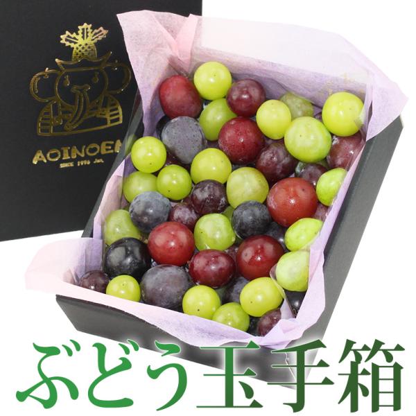 【フルーツ 果物 プレゼント お礼 お返し ご挨拶 手土産 お祝 誕生日 お誕生日 婚礼祝い 出産祝 出産内祝 出産 内祝い お返し 快気祝い 快気内祝い お見舞い 快気祝 粗品 コンペ 景品 お供え 贈り物 お供え物 お悔やみ ギフト】た...