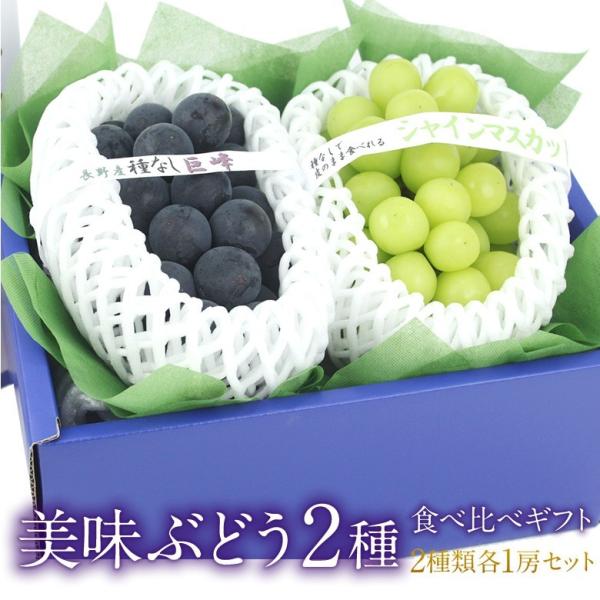 【フルーツ 果物 プレゼント お礼 お返し ご挨拶 手土産 お祝 誕生日 お誕生日 婚礼祝い 出産祝 出産内祝 出産 内祝い お返し 快気祝い 快気内祝い お見舞い 快気祝 粗品 コンペ 景品 お供え 贈り物 お供え物 お悔やみ ギフト】ぶ...