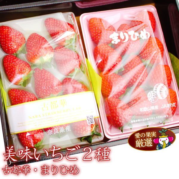 【フルーツ 果物 プレゼント お礼 お返し ご挨拶 手土産 お祝 誕生日 お誕生日 婚礼祝い 出産祝 出産内祝 出産 内祝い お返し 快気祝い 快気内祝い お見舞い 快気祝 粗品 コンペ 景品 お供え 贈り物 お供え物 お悔やみ ギフト】【...