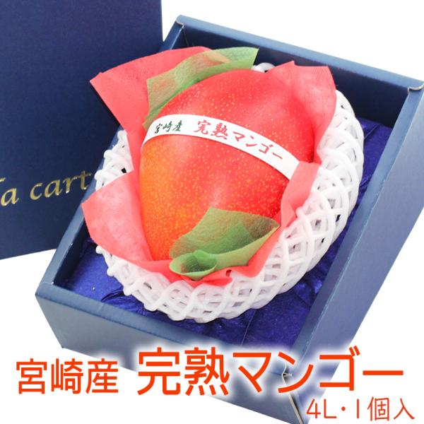 【完熟 マンゴーフルーツ 果物 プレゼント お礼 お返し ご挨拶 手土産 お祝 誕生日 お誕生日 婚礼祝い 出産祝 出産内祝 出産 内祝い お返し 快気祝い 快気内祝い お見舞い 快気祝 粗品 コンペ 景品 お供え 贈り物 お供え物 お悔や...