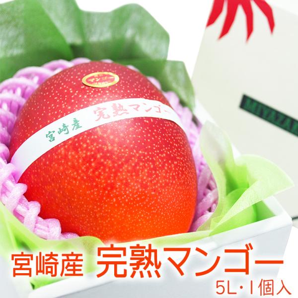 【完熟 マンゴーフルーツ 果物 プレゼント お礼 お返し ご挨拶 手土産 お祝 誕生日 お誕生日 婚礼祝い 出産祝 出産内祝 出産 内祝い お返し 快気祝い 快気内祝い お見舞い 快気祝 粗品 コンペ 景品 お供え 贈り物 お供え物 お悔や...