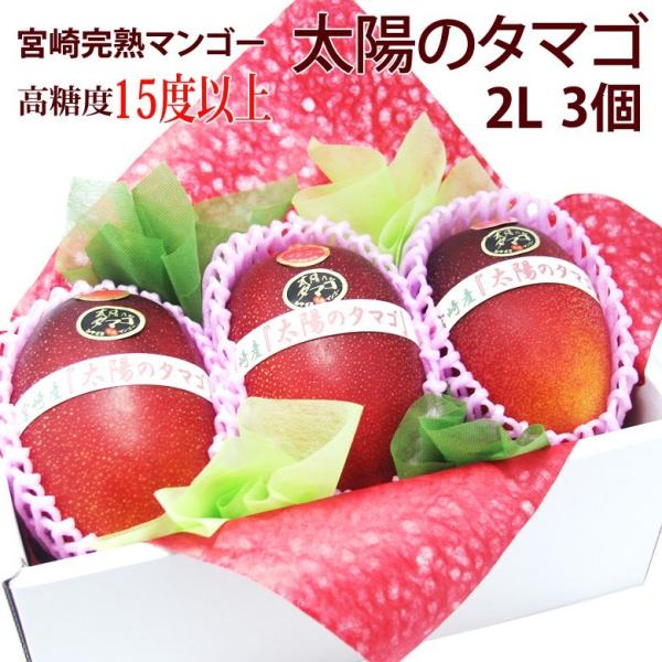 【完熟 マンゴーフルーツ 果物 プレゼント お礼 お返し ご挨拶 手土産 お祝 誕生日 お誕生日 婚礼祝い 出産祝 出産内祝 出産 内祝い お返し 快気祝い 快気内祝い お見舞い 快気祝 粗品 コンペ 景品 お供え 贈り物 お供え物 お悔や...