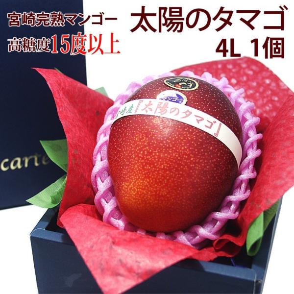 【完熟 マンゴーフルーツ 果物 プレゼント お礼 お返し ご挨拶 手土産 お祝 誕生日 お誕生日 婚礼祝い 出産祝 出産内祝 出産 内祝い お返し 快気祝い 快気内祝い お見舞い 快気祝 粗品 コンペ 景品 お供え 贈り物 お供え物 お悔や...