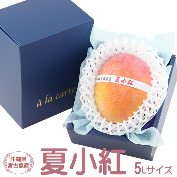 【完熟 マンゴーフルーツ 果物 プレゼント お礼 お返し ご挨拶 手土産 お祝 誕生日 お誕生日 婚礼祝い 出産祝 出産内祝 出産 内祝い お返し 快気祝い 快気内祝い お見舞い 快気祝 粗品 コンペ 景品 お供え 贈り物 お供え物 お悔や...