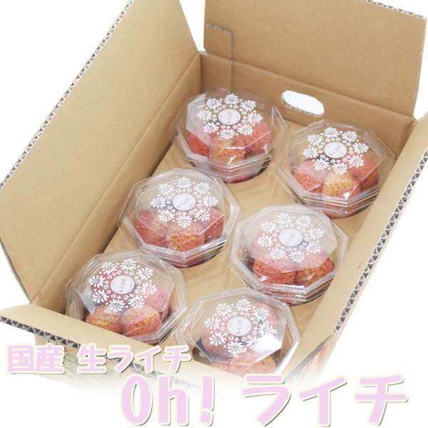 国産 生ライチ：お徳用・ご自宅用におすすめです。商品説明ライチ本来のみずみずしさや美味しさをたっぷり味わっていただける宮崎県産の生ライチです。驚くほどの肉厚でフレッシュな香りと濃厚な甘さで、夏にぴったりな生果実です。中国の薬膳におけるライチ...