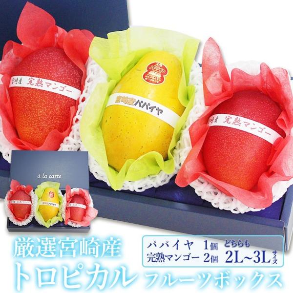 【フルーツ 果物 プレゼント お礼 お返し ご挨拶 手土産 お祝 誕生日 お誕生日 婚礼祝い 出産祝 出産内祝 出産 内祝い お返し 快気祝い 快気内祝い お見舞い 快気祝 粗品 コンペ 景品 お供え 贈り物 お供え物 お悔やみ ギフト】南...