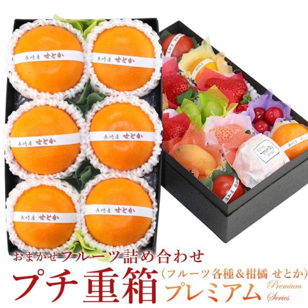 【プチ重箱プレミアム】 FPJ-6（プチフルーツ15個　せとか6個入り）【フルーツ 果物 プレゼント お礼 お返し ご挨拶 手土産 お祝 誕生日 お誕生日 婚礼祝い 出産祝 出産内祝 出産 内祝い お返し 快気祝い 快気内祝い お見舞い 快...