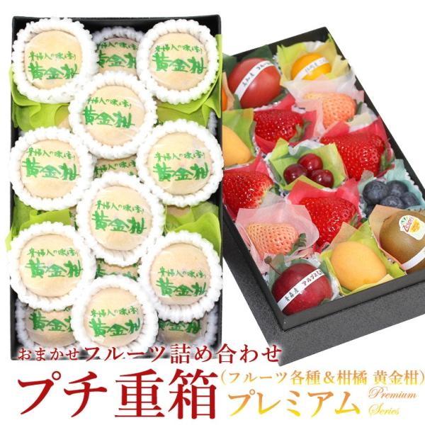 【プチ重箱プレミアム】 FPJ-8（プチフルーツ15個　柑橘 黄金柑18個入り【フルーツ 果物 プレゼント お礼 お返し ご挨拶 手土産 お祝 誕生日 お誕生日 婚礼祝い 出産祝 出産内祝 出産 内祝い お返し 快気祝い 快気内祝い お見舞...