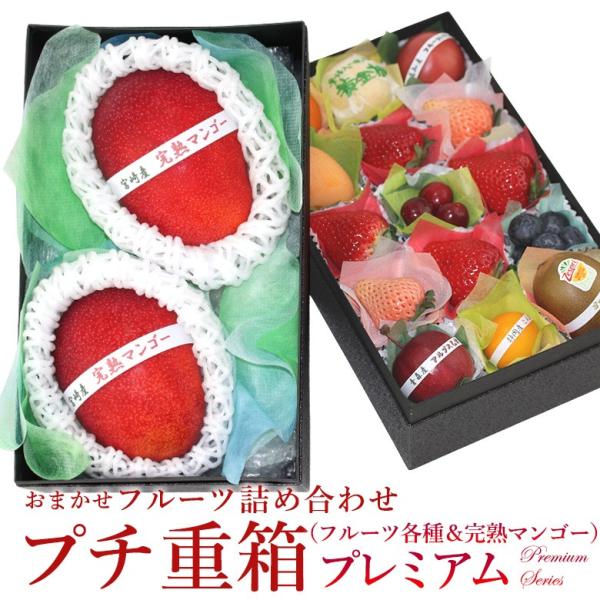 【プチ重箱プレミアム】 FPJ-9(プチフルーツ15個・国産完熟マンゴー2L〜3L・2個)【フルーツ 果物 プレゼント お礼 お返し ご挨拶 手土産 お祝 誕生日 お誕生日 婚礼祝い 出産祝 出産内祝 出産 内祝い お返し 快気祝い 快気内...
