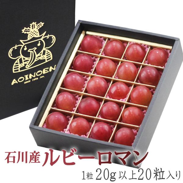 【フルーツ 果物 プレゼント お礼 お返し ご挨拶 手土産 お祝 誕生日 お誕生日 婚礼祝い 出産祝 出産内祝 出産 内祝い お返し 快気祝い 快気内祝い お見舞い 快気祝 粗品 コンペ 景品 お供え 贈り物 お供え物 お悔やみ ギフト】赤...