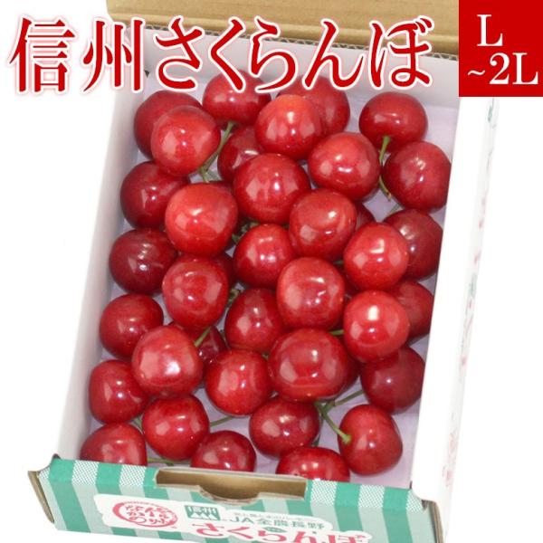【フルーツ 果物 プレゼント お礼 お返し ご挨拶 手土産 お祝 誕生日 お誕生日 婚礼祝い 出産祝 出産内祝 出産 内祝い お返し 快気祝い 快気内祝い お見舞い 快気祝 粗品 コンペ 景品 お供え 贈り物 お供え物 お悔やみ ギフト】食...