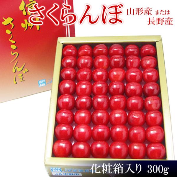 【フルーツ 果物 プレゼント お礼 お返し ご挨拶 手土産 お祝 誕生日 お誕生日 婚礼祝い 出産祝 出産内祝 出産 内祝い お返し 快気祝い 快気内祝い お見舞い 快気祝 粗品 コンペ 景品 お供え 贈り物 お供え物 お悔やみ ギフト】さ...