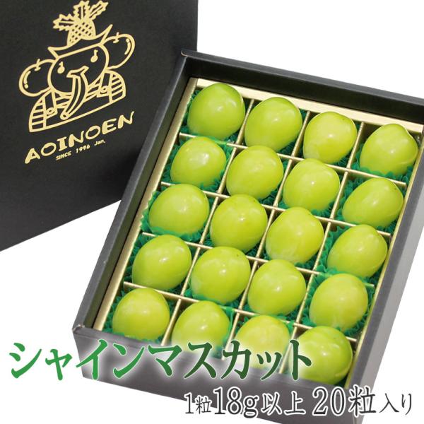 【フルーツ 果物 プレゼント お礼 お返し ご挨拶 手土産 お祝 誕生日 お誕生日 婚礼祝い 出産祝 出産内祝 出産 内祝い お返し 快気祝い 快気内祝い お見舞い 快気祝 粗品 コンペ 景品 お供え 贈り物 お供え物 お悔やみ ギフト】甘...
