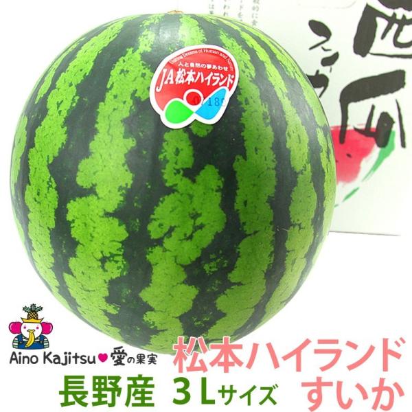 【フルーツ 果物 プレゼント お礼 お返し ご挨拶 手土産 お祝 誕生日 お誕生日 婚礼祝い 出産祝 出産内祝 出産 内祝い お返し 快気祝い 快気内祝い お見舞い 快気祝 粗品 コンペ 景品 お供え 贈り物 お供え物 お悔やみ ギフト】商...
