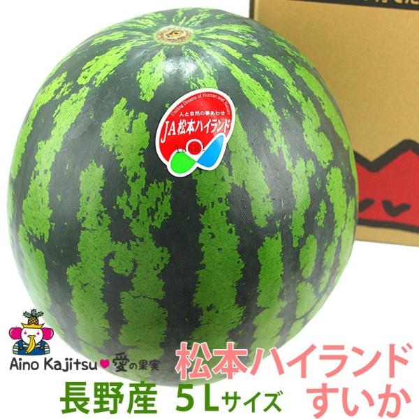 【フルーツ 果物 プレゼント お礼 お返し ご挨拶 手土産 お祝 誕生日 お誕生日 婚礼祝い 出産祝 出産内祝 出産 内祝い お返し 快気祝い 快気内祝い お見舞い 快気祝 粗品 コンペ 景品 お供え 贈り物 お供え物 お悔やみ ギフト】商...