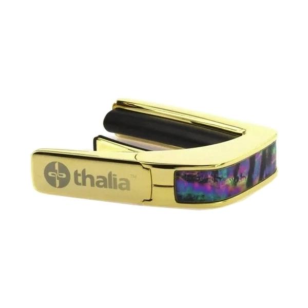 ※画像は撮影用商品のため、お届けの際の商品とは異なります。タリアのフレットパッドは、あなたのギターのRに合わせ、いつでも簡単に交換可能です。完璧なチューニングと各弦のテンション・バランスが整います。スタンダード・テンション・ラバー・フレット...