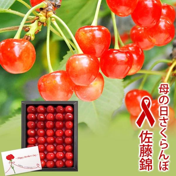 母の日ギフトなら、おいしい山形さくらんぼが人気！1粒1粒ていねいに手詰された5月の初物フルーツを産地直送でお届けいたします。[品　名]さくらんぼ佐藤錦[内容量]秀品Lサイズ 約300g化粧箱詰め、カーネーション造花1本、母の日メッセージカー...