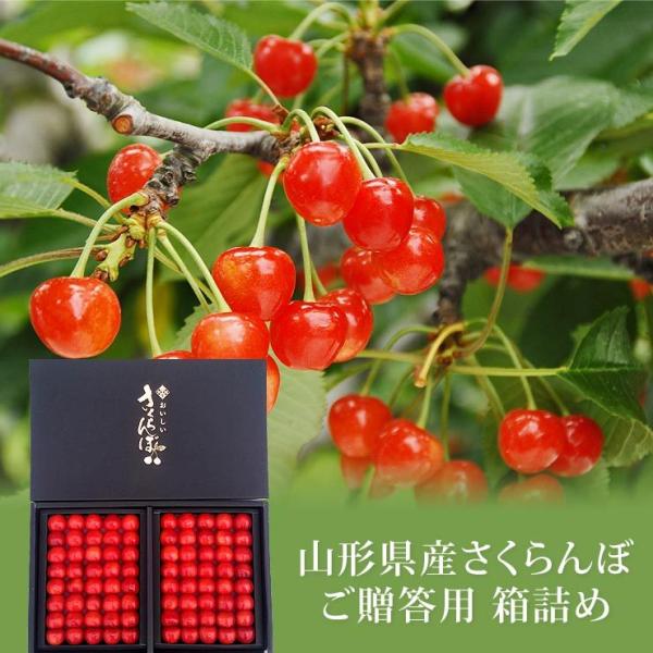 プチッとした歯ごたえと甘酸っぱい味わい。鮮やかな色と確かなおいしさでお中元や初夏のギフトとして人気のフルーツ「さくらんぼ」の詰め合わせです。[品名] さくらんぼ（山形産）[品種] 佐藤錦または紅秀峰（指定不可）[規格] 秀品Lサイズ[温度帯...
