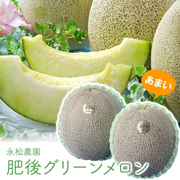高い糖度で香り良く、とろける食感の熊本ブランドメロン！[商品名] 肥後グリーンメロン[内容量] 2玉入り[重量] 合計約3.6kg前後 [生産地] 熊本県産（永松農園）[配達期間] 5月下旬〜6月中旬ごろ[配送] 宅配　常温便※入荷でき次第...