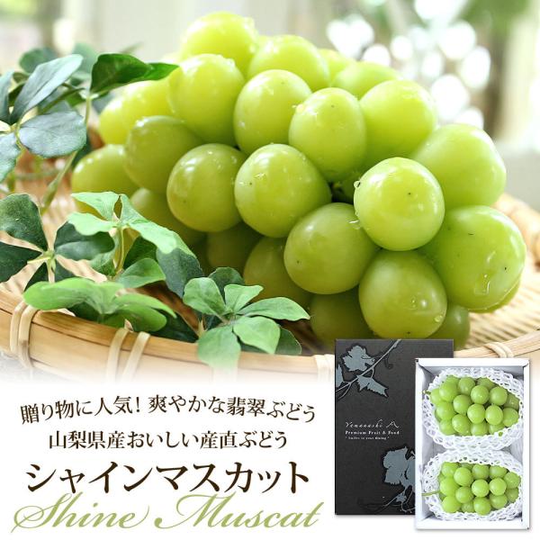 [品　名] シャインマスカット(露地栽培)[内容量] 500g前後×2房入り[産　地] 山梨県[収穫時期] 8月下旬〜9月にかけて発送予定※収穫でき次第に順次発送いたします。誠に申し訳ございませんが配達日の指定はご容赦いただいております。※...