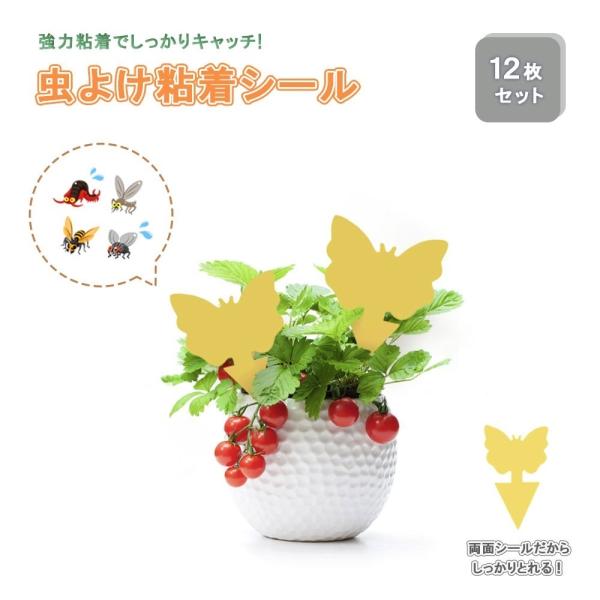 サイズ縦約13.5cm×横約8cm重量1枚約4g素材 プラスチック12枚セット※被害を100%防ぐ物ではございませんのでご了承ください。※害虫捕獲用途以外に使用しないで下さい。※粘着剤が付着した時は石鹸で良く洗って下さい。※ミツバチ等の天敵...