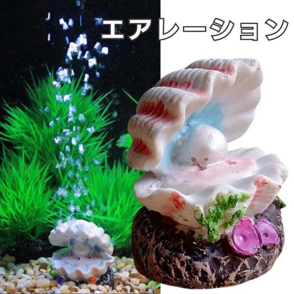 サイズ 横約5.5cm×奥行き約5cm×高さ約6cm重量 約75g素材 樹脂＊こちらはエアレーションを繋げるパイプが付いておりますのでそこから繋げてください高級感のある丁寧な造りとリアルな色合いが人気のエアレーション用貝殻のアクアリウムオー...