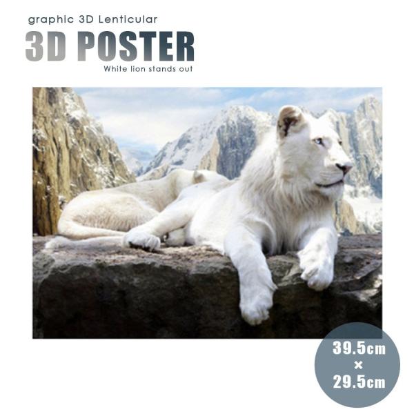 サイズ横約39.5cm×縦約29.5cm×厚さ約1mm素材 プラスチック【レンチキュラーとは】レンチキュラーの特徴は、見る角度を変えることで絵が切り替わるなどして変化したり、動いたりすることです。だまし絵とは異なり、レンチキュラーの印刷物を...