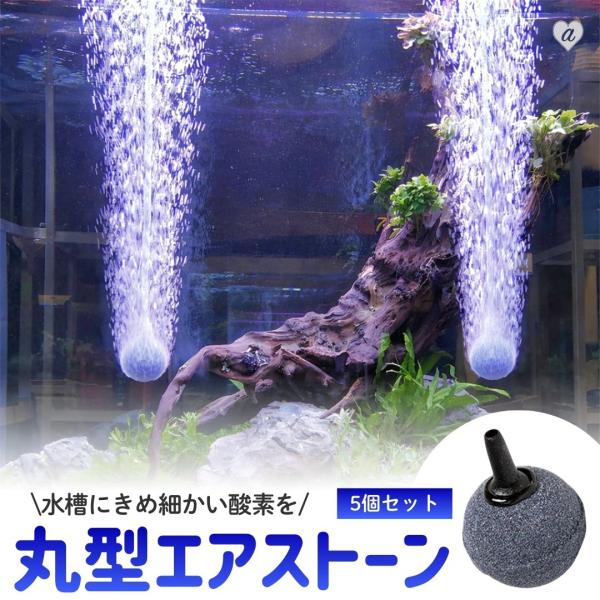 水槽用 エアーストーン 丸型 5個セット バブル バブルストーン 水槽 アクアリウム 丸 球 円形 酸素供給 エアレーション エアポンプ用 観賞魚 熱帯魚 金魚 メダカ 水草 水槽設備 水質改善 微細泡 均一拡散 定番 エアストーン 交換用...
