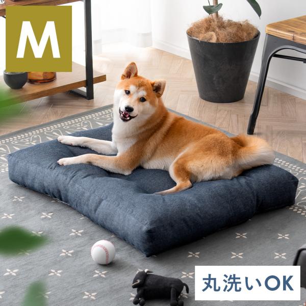 ■お届け目安（ご予約販売除く）※1営業日後出荷【Mサイズ】【サイズ】約幅85×奥行き65×高さ15cm【製品重量】約1.7kg【材質】表地/綿100%中材/ポリエステル100%、ウレタンフォーム裏地/ポリエステル100%【梱包サイズ】約幅6...