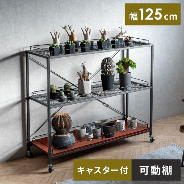 ■お届け目安（ご予約販売除く）※1営業日後出荷【125cm幅タイプ】【サイズ】約幅124×奥行き40×高さ106cm【可動棚(中段)】7段階、約3cm間隔で調整可能【製品重量】約19.4kg【材質】スチール(粉体塗装仕上げ)、天然木パイン材...