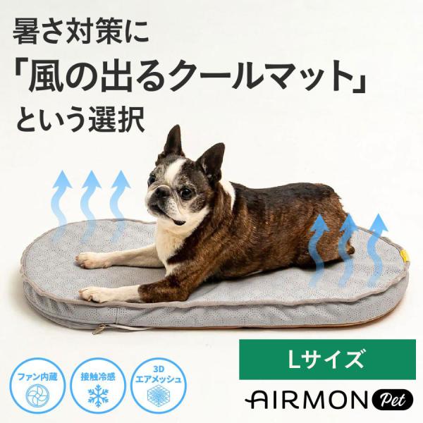 ◆注意事項・本製品にモバイルバッテリーは付属しておりません。ご使用には、別途モバイルバッテリー（5V/2A以上推奨）のご用意が必要です。・本製品はエアバギーオリジナルの製品ではございません。・製品の仕様は品質向上のため予告なく変更することが...