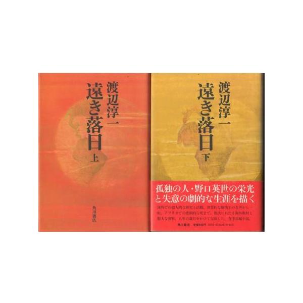 （古本）遠き落日 上下2冊組 渡辺淳一 角川書店 W05023 19790910発行