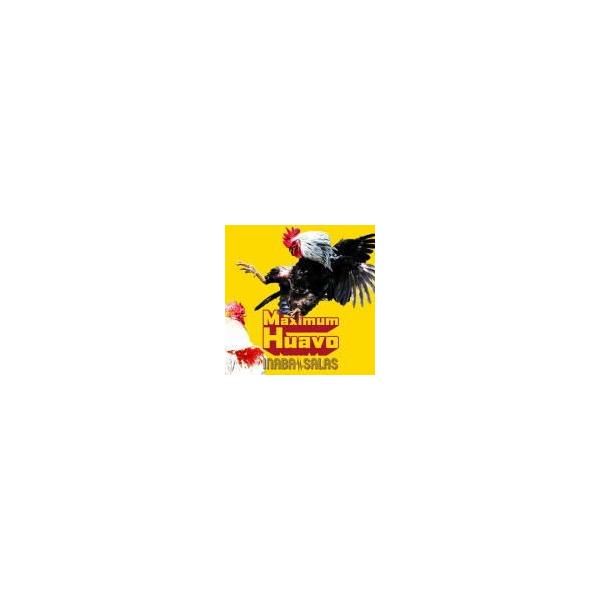 【発売日：2020年04月15日】■通常盤・CDのみ○型破りなユニークさと音楽の国境やジャンルを超えたグルーヴがさらにパワーアップ!待望の新作がついに登場!!○稲葉 浩志とスティーヴィー・サラスが再びタッグを組み、前作「CHUBBY GRO...