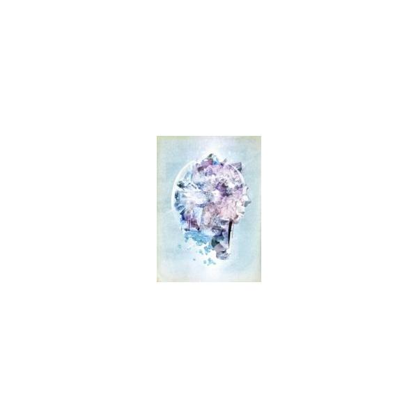 【発売日：2014年12月03日】■通常盤■仕様・DVD(3枚組)○2014年2月5日〜7月20日に渡り、アジアを含む全44カ所で行われたツアー「RADWIMPS GRAND PRIX 2014 実況生中継」。この映像作品は、「実況生中継」...