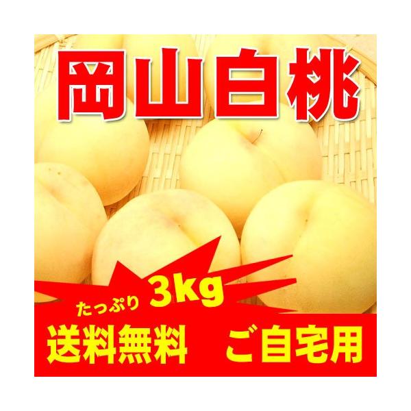 【送料無料】【ご自宅用】『岡山白桃物語』岡山白桃約3kg約10〜15玉