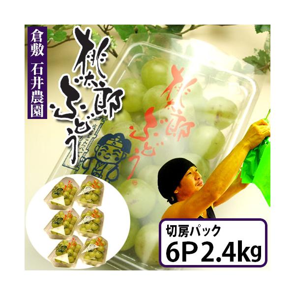 ーーーーーーーーーーーーーーーーーーーーーー岡山県産の桃太郎ぶどうパックです。物部農園さんからご紹介頂いた新たな契約農家さんです。2022年はーーーーーーーーーーーーーーーーーーーーーー【内容量】石井農園の桃太郎ぶどう　　　　　切房パック×...