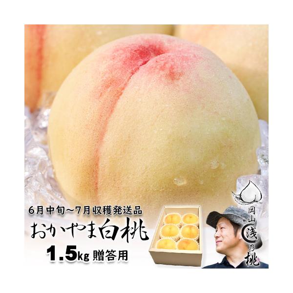 【送料無料】【生産者限定商品】