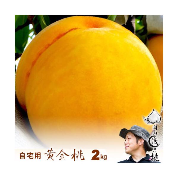 【送料無料】【生産者限定商品】