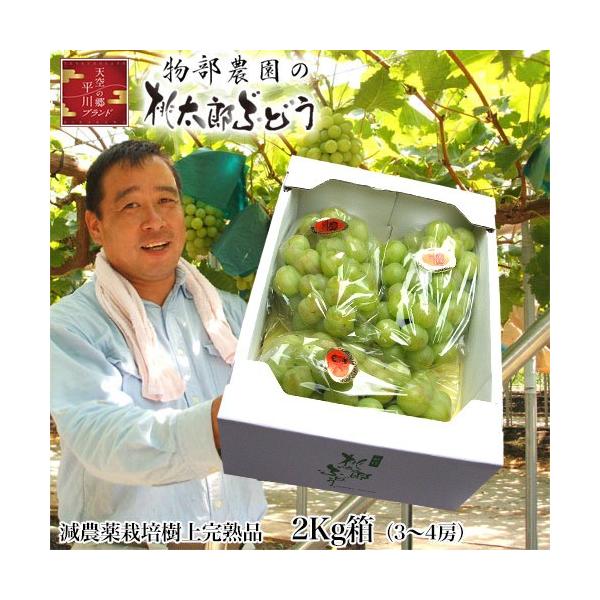 皮ごと食べる桃太郎ぶどうだから農薬をできるだけ少なくすることにこだわりました！山里の寒暖差が糖度の高い桃太郎ぶどうを育てます。人気の２キロ箱が登場しました。【お届け日指定不可】10月上旬〜10月中旬で発送予定【※北海道・沖縄・離島の一部23...