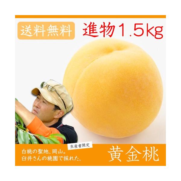 ●商品名　岡山県産　黄金桃●内容量　約1.5kg箱　4〜6玉●出荷地　山形県　※生産者直送品となりますので他の商品と同梱はできません●発送時期　8月下旬〜9月中旬●お届け日指定不可　※収穫が天候によって大きく左右されます。お届け日指定に対応...