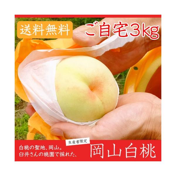 【送料無料】【生産者限定商品】臼井さんの「岡山白桃」自宅用岡山白桃約3kg約10〜15玉