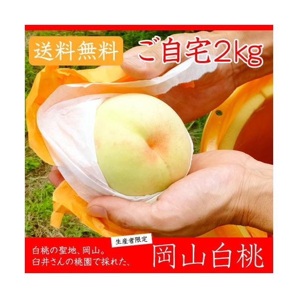 【送料無料】【生産者限定商品】臼井さんの「岡山白桃」自宅用岡山白桃約2kg