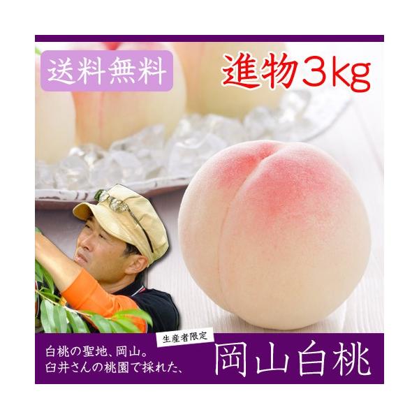 【ご進物】岡山白桃です。ご進物でもたっぷりの3kg満杯のフルサイズ！たっぷり3キロで約10〜15玉入ります。＜気象条件によりお届日指定にお応えできない場合がございます。＞