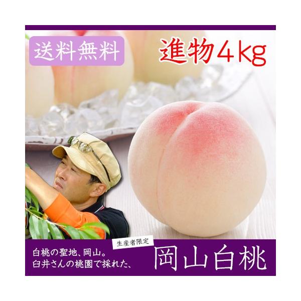 臼井桃園　進物　岡山白桃　4kg箱　※10〜15玉　※サイズ・玉数の指定はできません出荷地：岡山県　発送：7月中旬頃〜8月中旬頃出荷予定●送料無料　ただし北海道へのお届けは2300円 沖縄諸島へのお届けは2300円がかかります<　